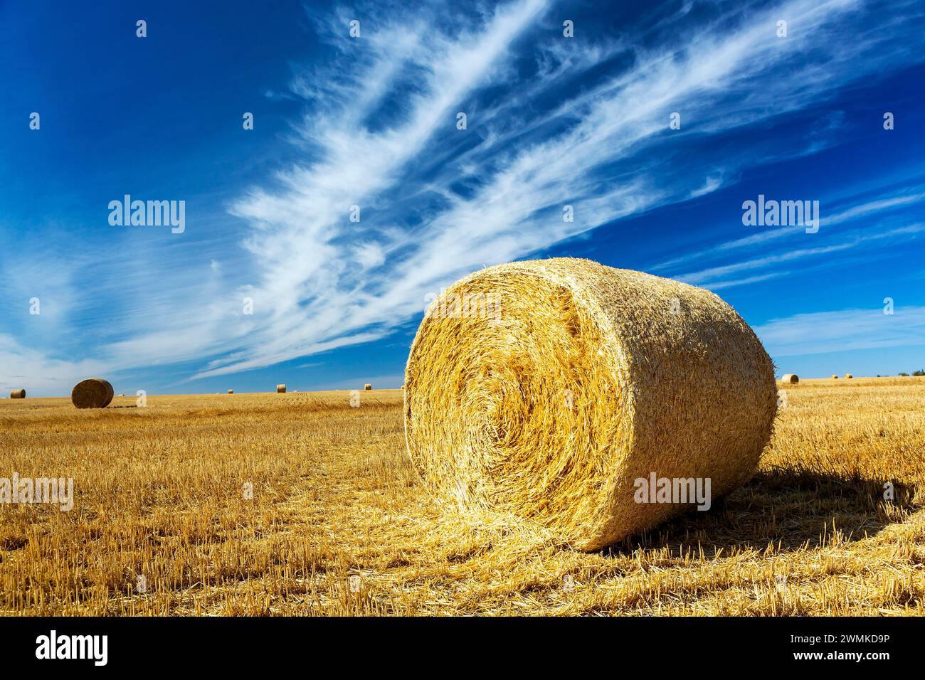 Large round hay bale in a cut golden field with wispy clouds and blue ...
