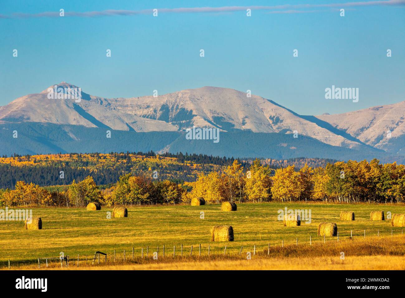 Hay bales mountains in background hi-res stock photography and images ...