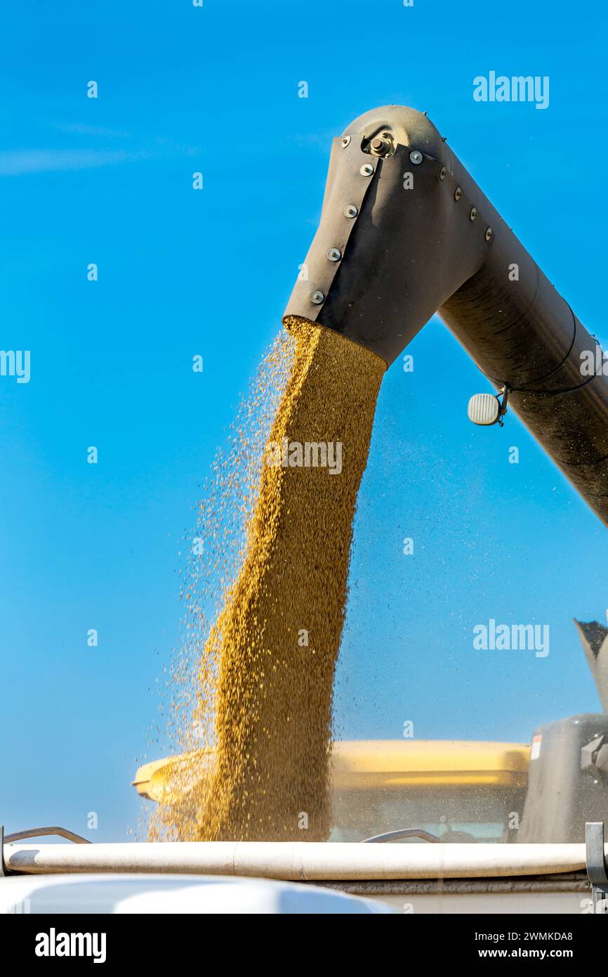Grain chute hi-res stock photography and images - Alamy