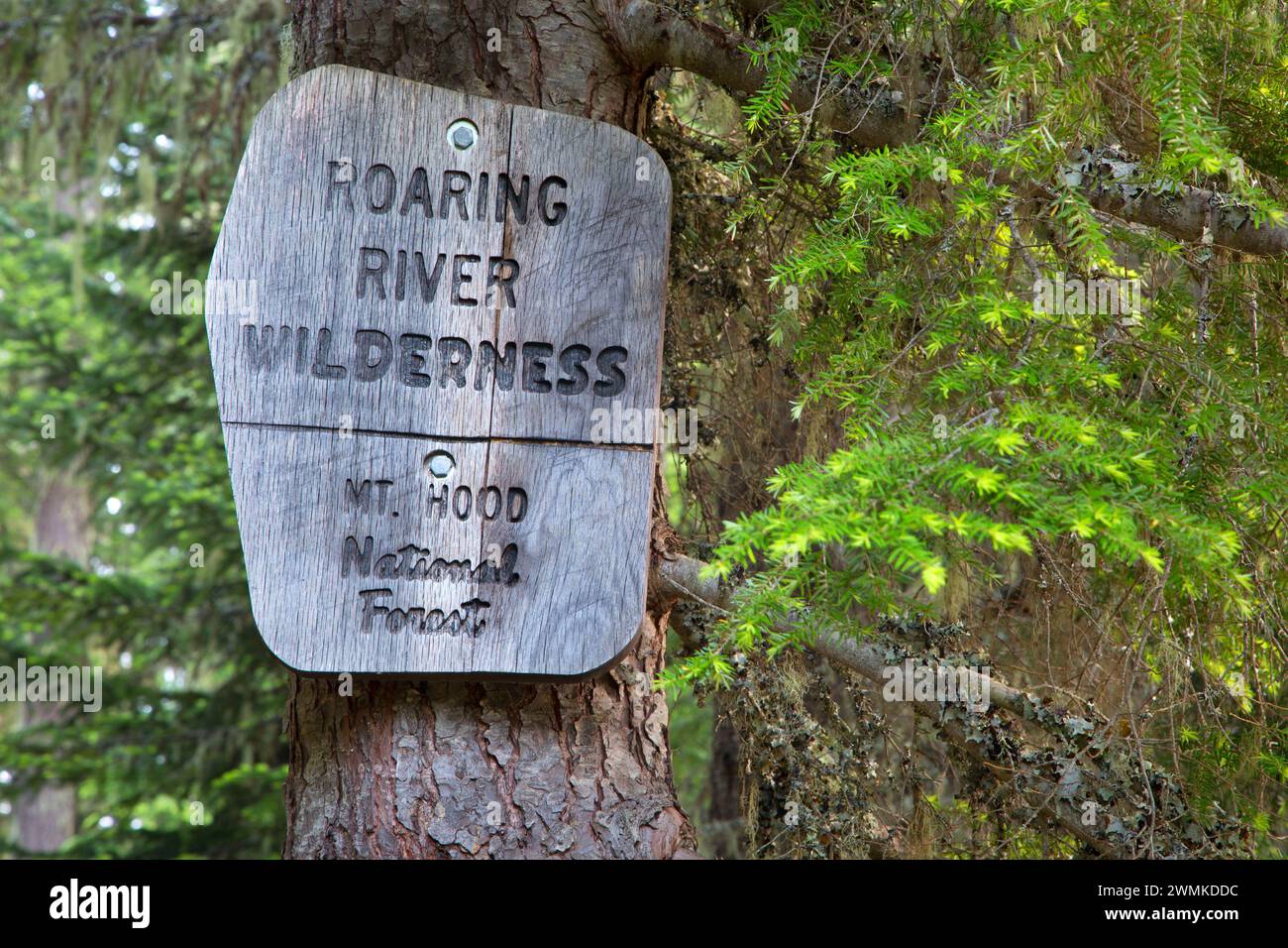 Wilderness sign along Shellrock Lake Trail, Roaring River Wilderness ...