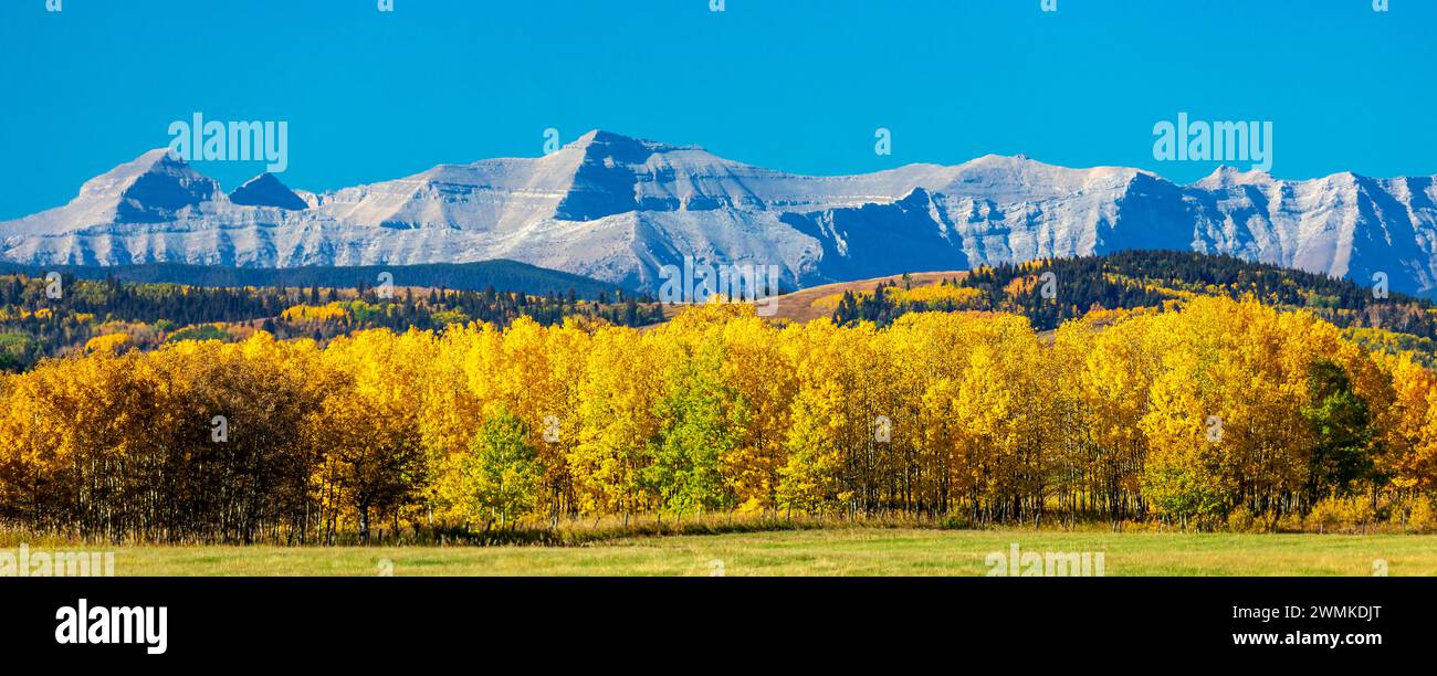 Panorama mountain range with colourful covered treed foothills in the ...