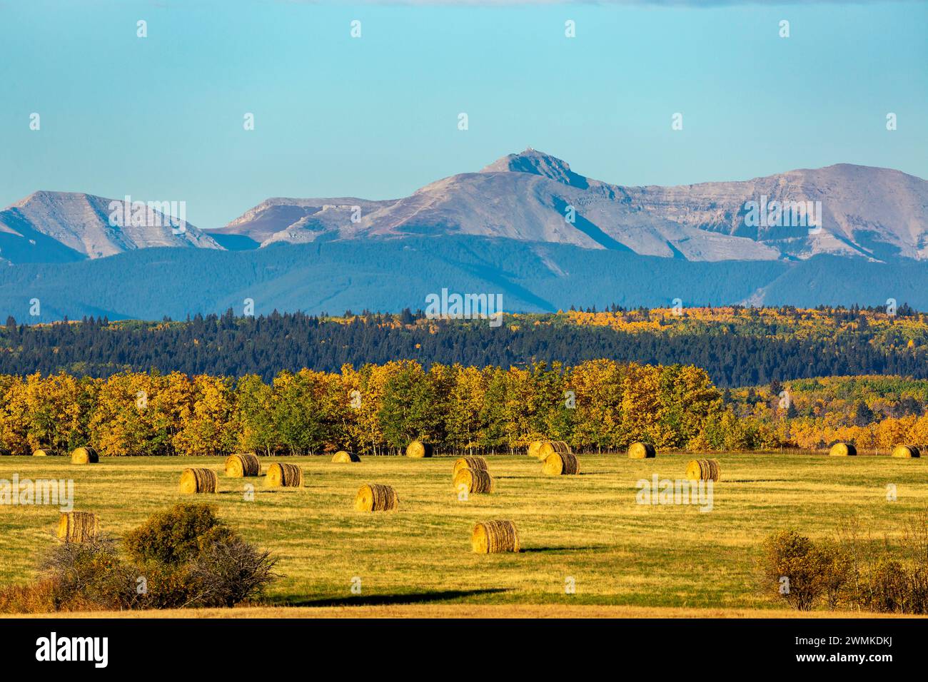 Glowing large round hay bales in a cut field at sunrise with colourful ...