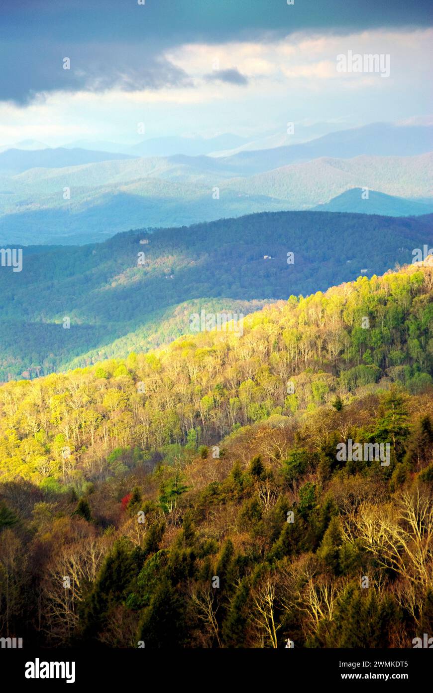 Beautiful scene forested mountains hi-res stock photography and images ...