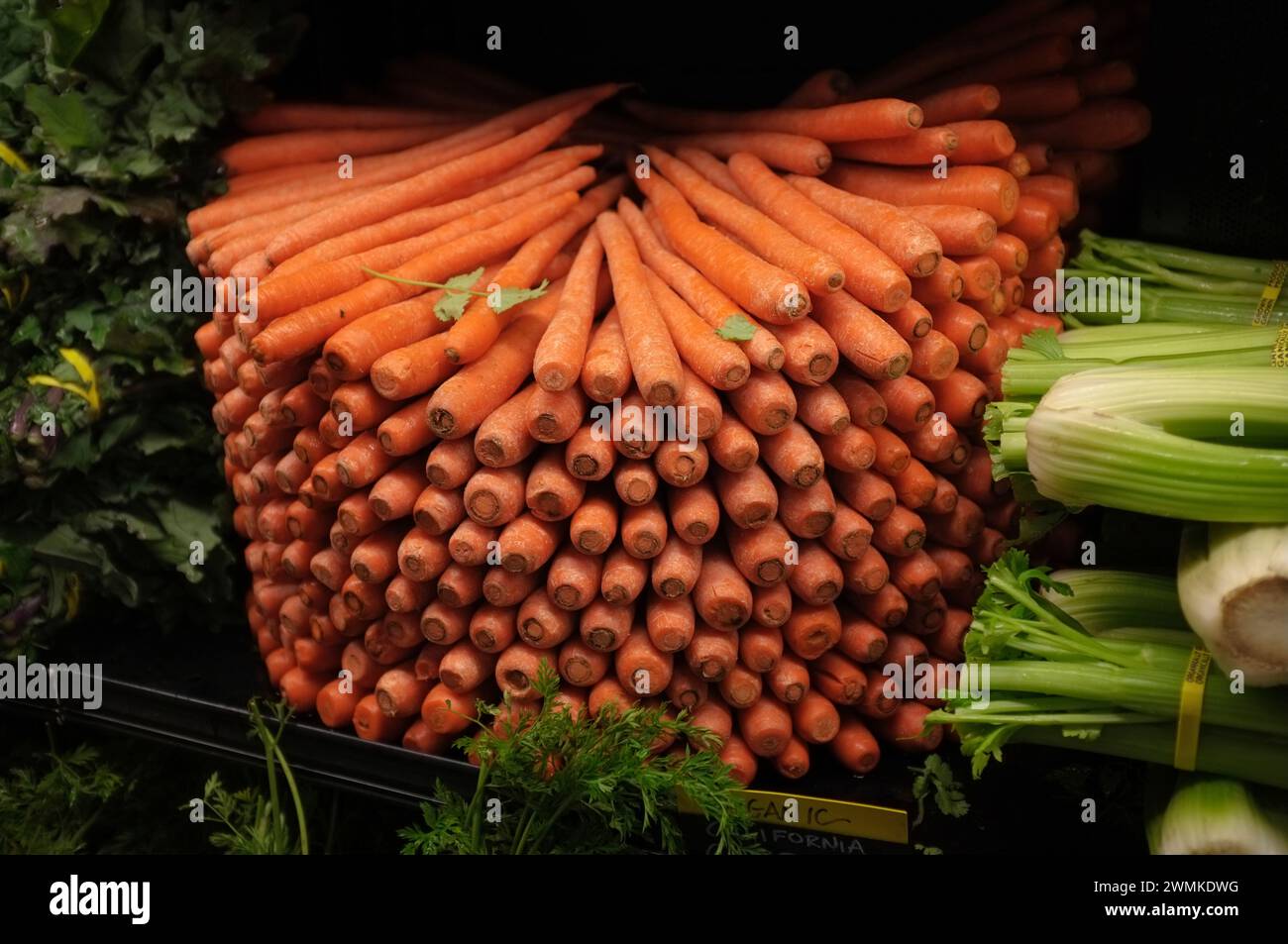 Neat carrots hi-res stock photography and images - Alamy