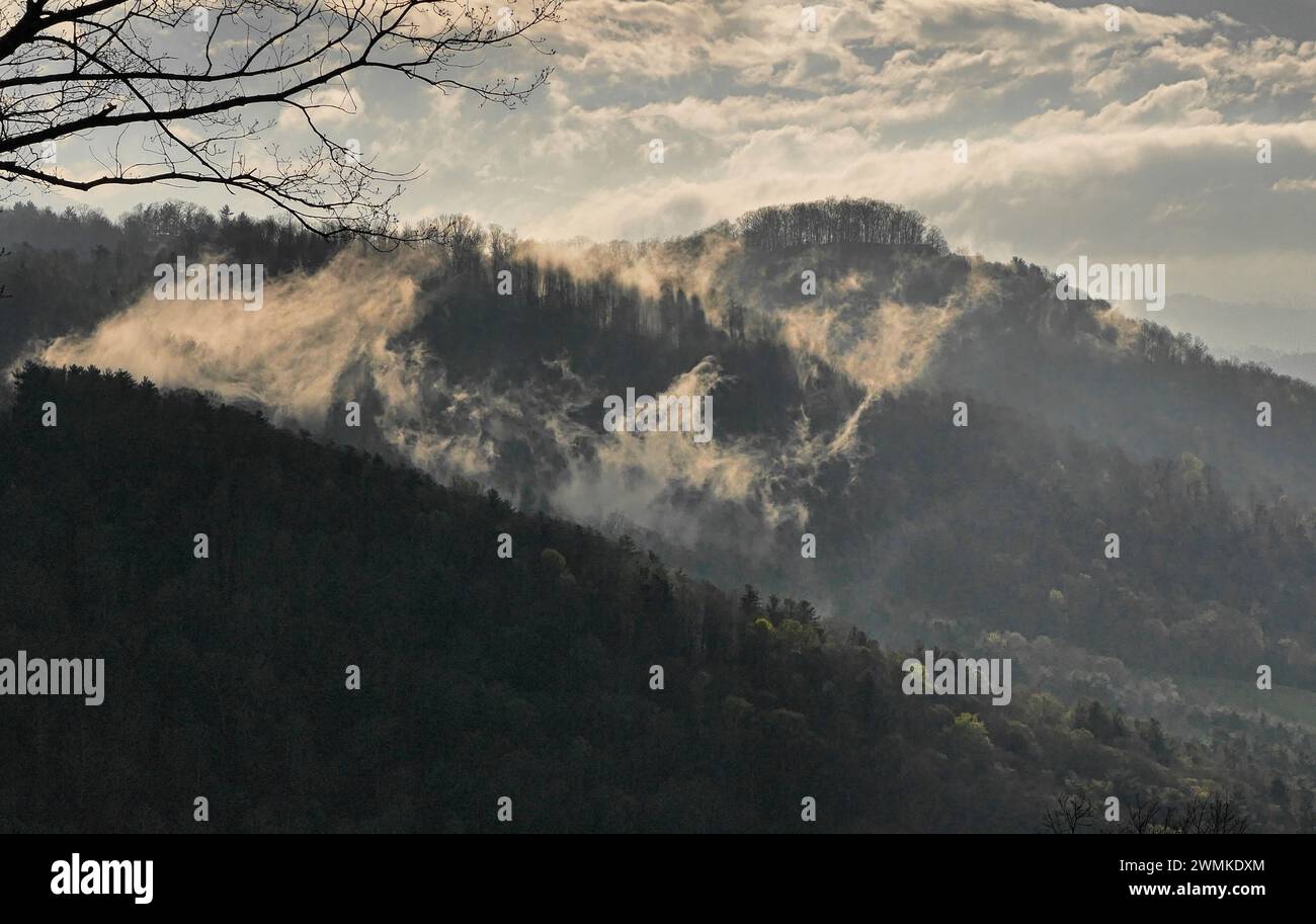 Mist rises up after a rain; Weaverville, North Carolina, United States ...