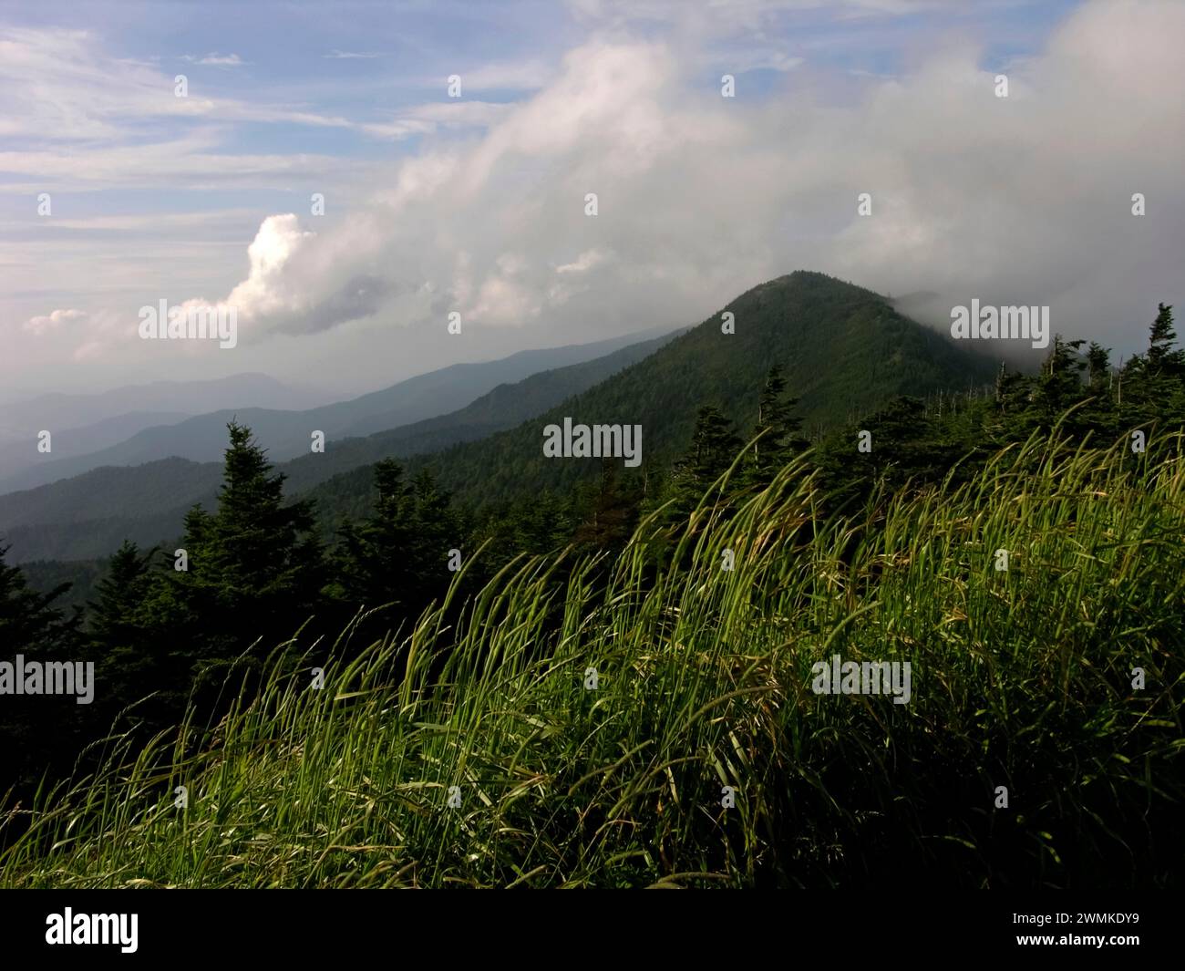 Windblown land hi-res stock photography and images - Alamy