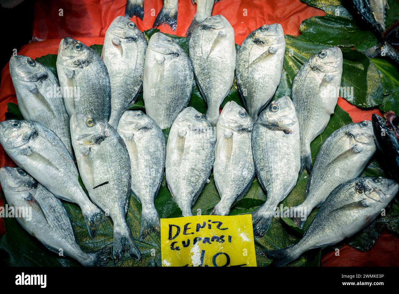Fresh fish for sale at a market in Beyoglu, Instanbul, Turkey ...