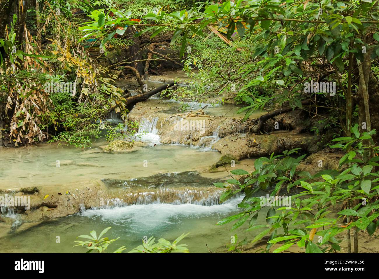 Jungle landscape with flowing turquoise water of Erawan cascade ...