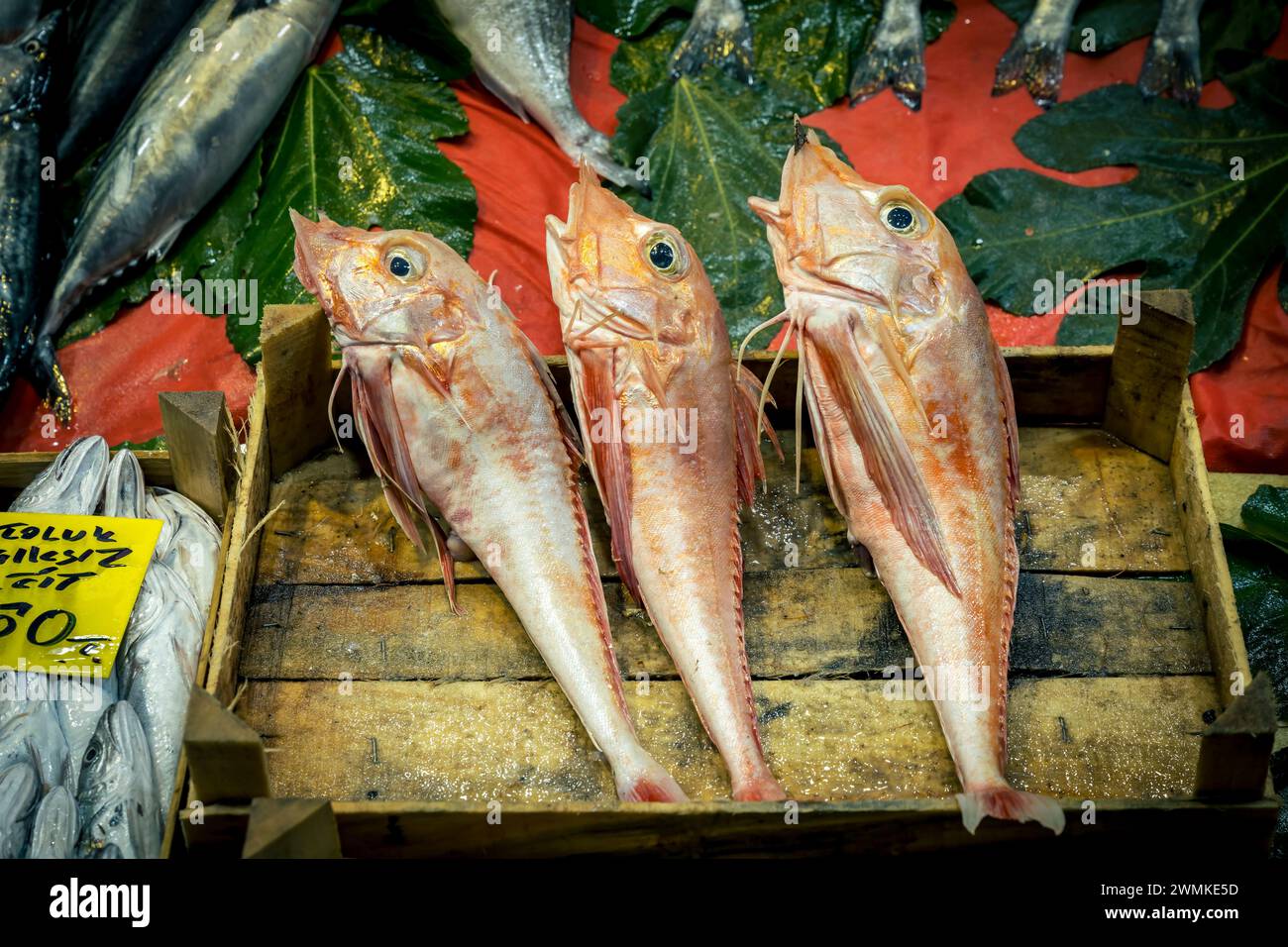 Fresh fish on display for sale at a fish market in Beyoglu, Istanbul ...