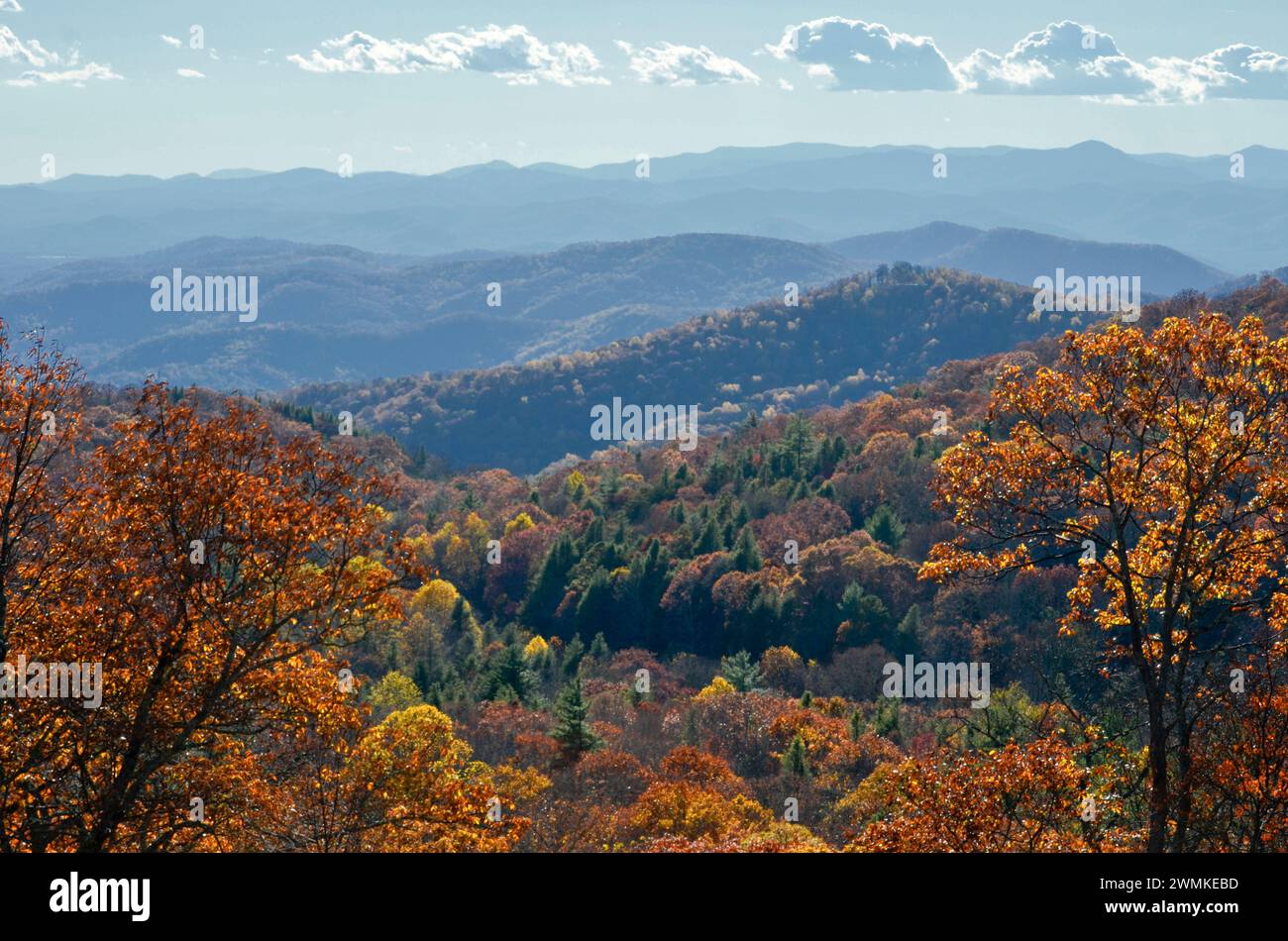 Autumn scene in the Blue Ridge Mountains with vibrant autumn coloured ...