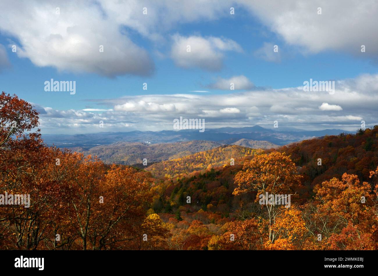 Autumn scene in the Blue Ridge Mountains with vibrant autumn coloured ...
