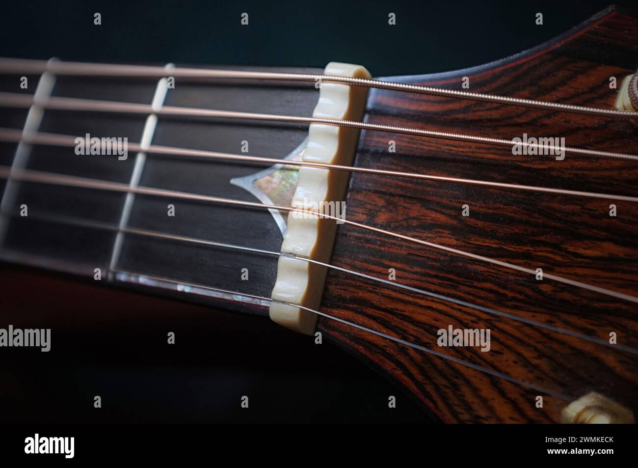 String instruments hi-res stock photography and images - Alamy