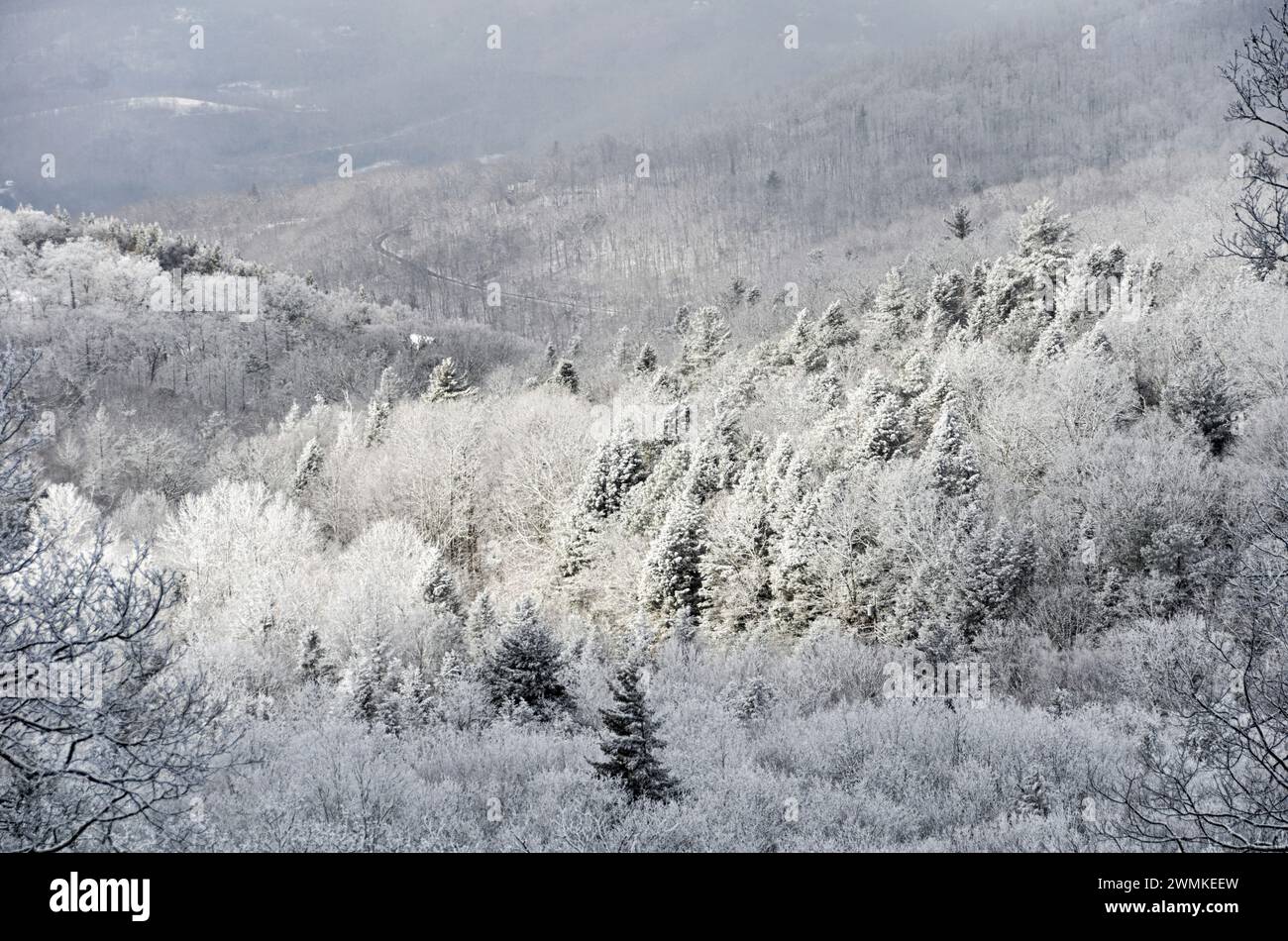 Hoar frost covers trees hi-res stock photography and images - Alamy