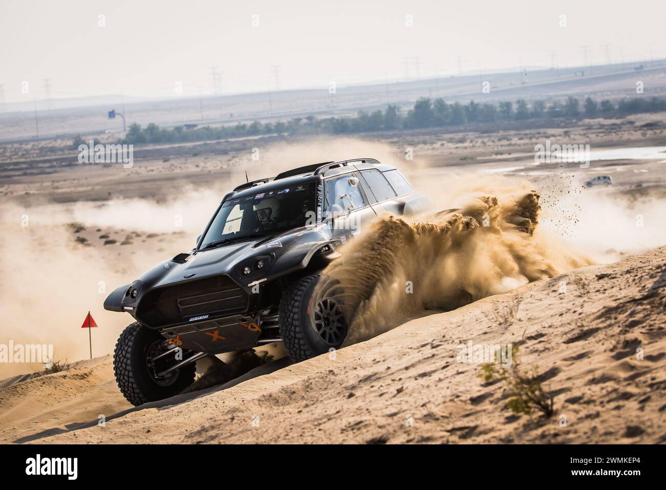 213 NAVARRO Pau (ESP), SCHULZ Andreas (DEU), X-Raid Mini JCW Team, Mini ...