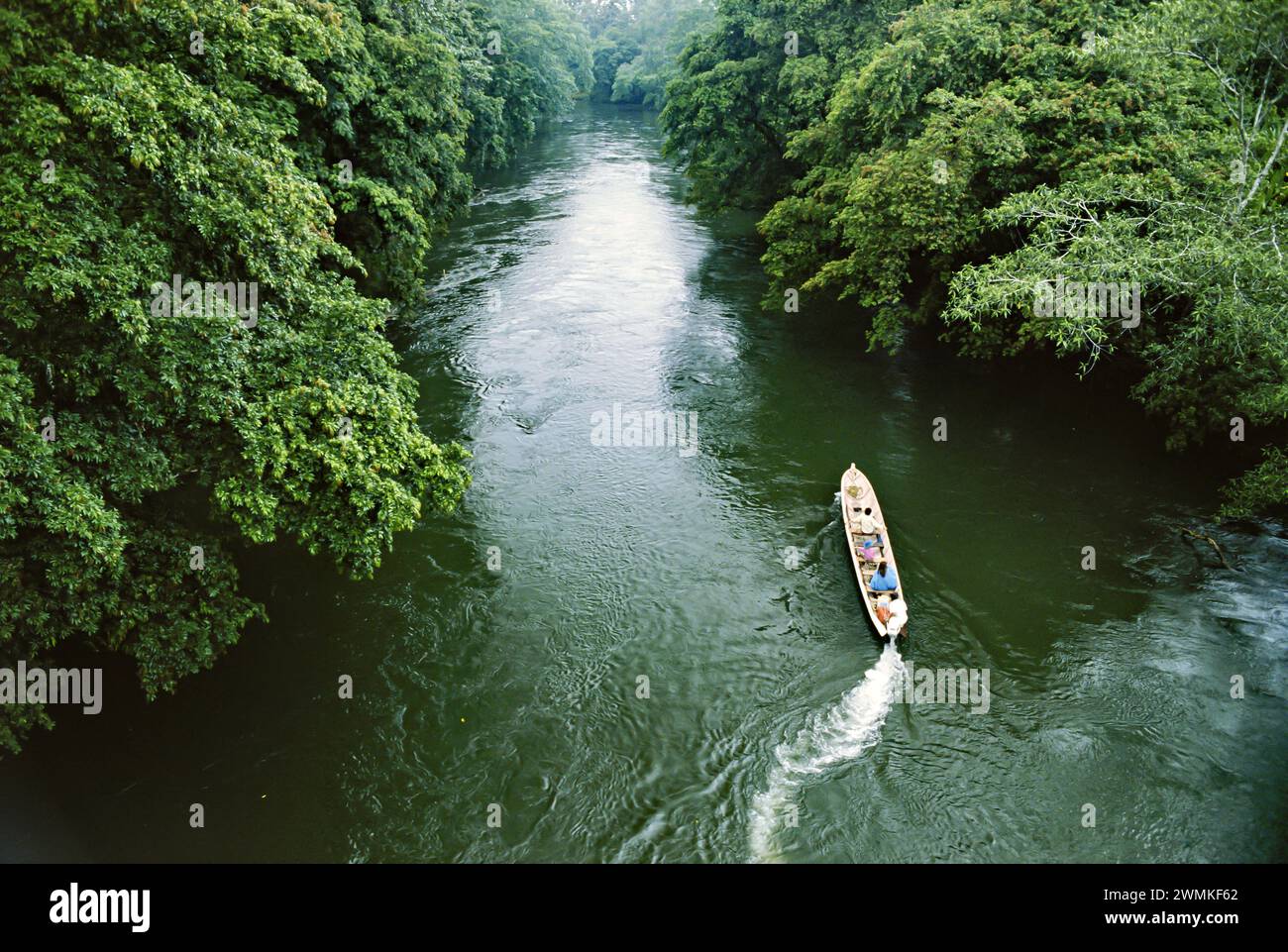 Aerial view of a boat carrying people down a river in Costa Rica; Costa ...