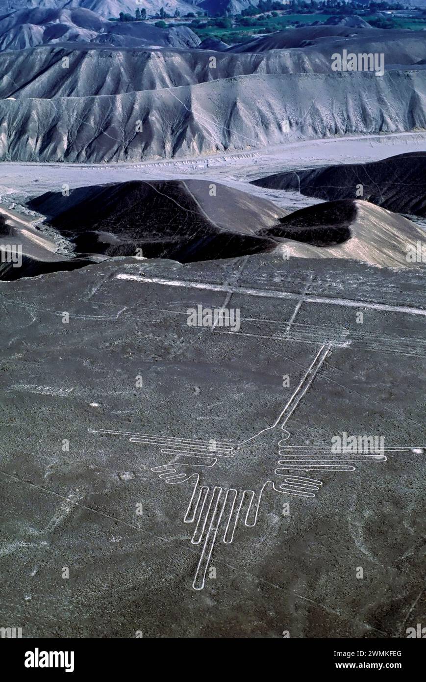 Mysterious Nazca lines form animal and geometric figures seen from the ...