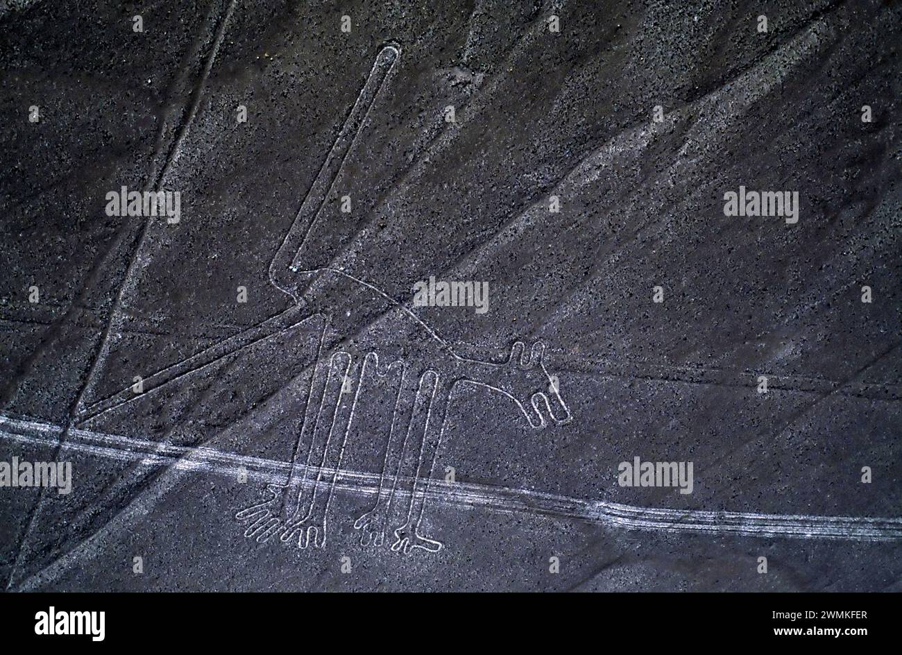 Animal figures as well as geometric shapes are part of the mysterious ...