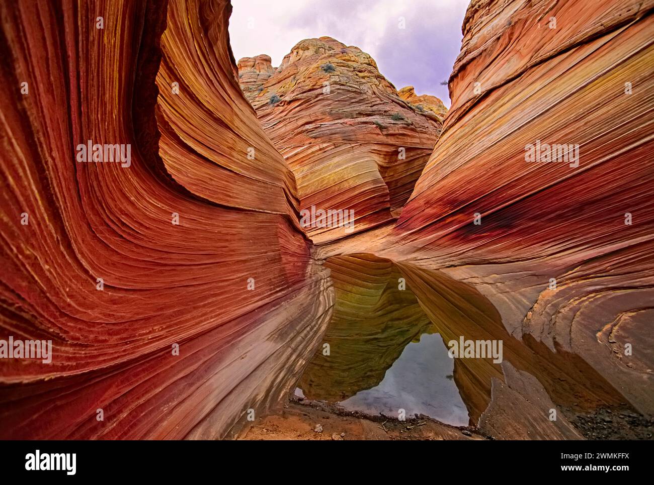 Spectacular formation of vibrant colors in swirls of fragile sandstone ...