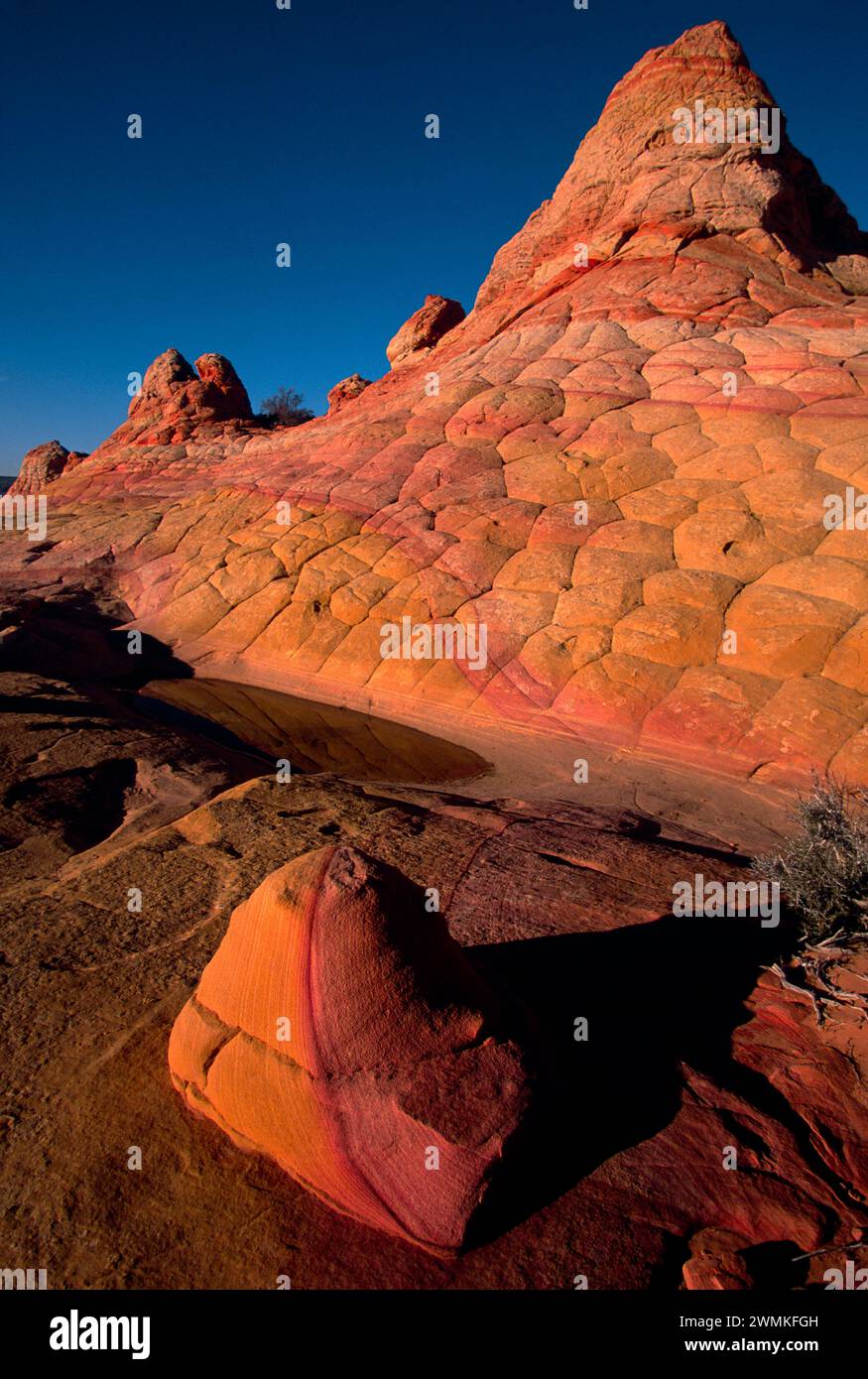Crossbeds of Navajo sandstone paint the Coyote Buttes in hues created ...