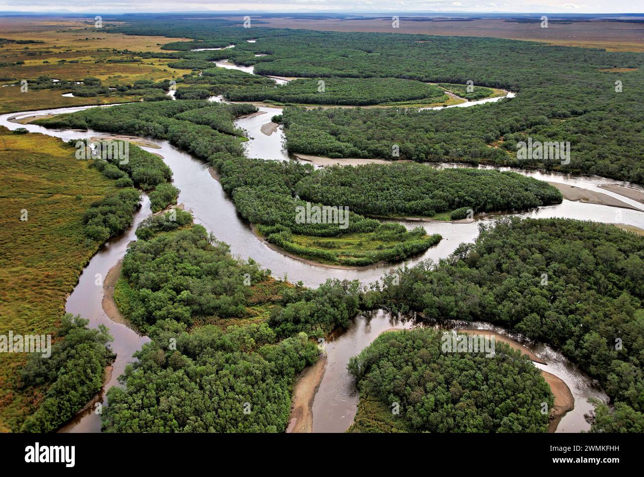 Aerial photo showing the braided river ecosystem for salmon spawning ...