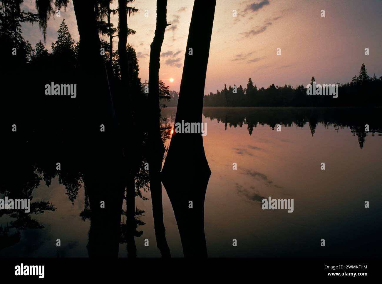 National wildlife refuges okefenokee swamp hi-res stock photography and ...