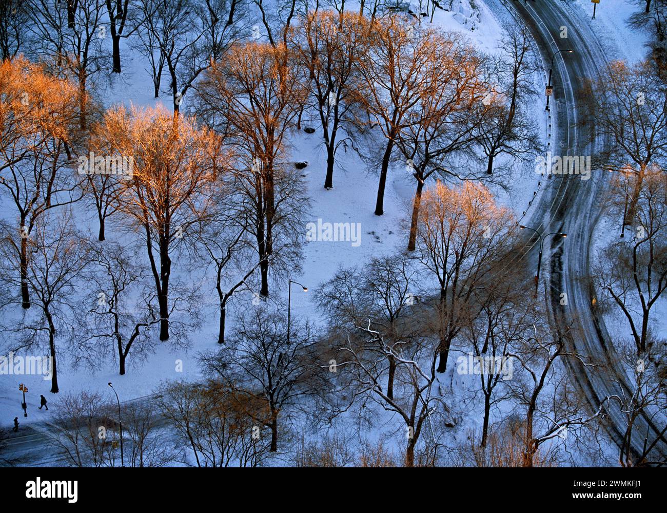 Morning sun kisses the icy tops of winter trees in snow blanketed New ...