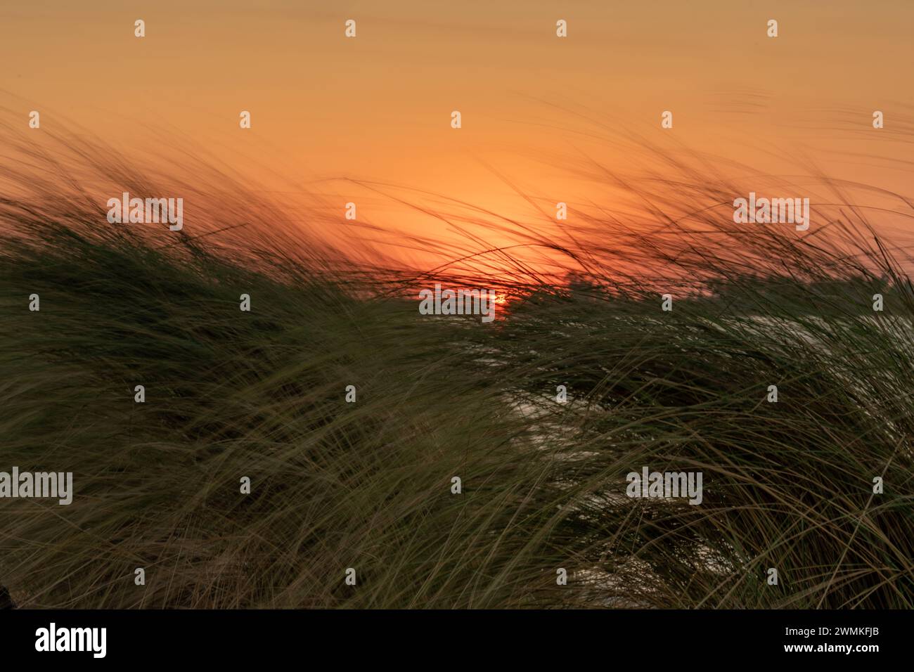 Orange sunset at Siesta Key beach with sunshine, Sarasota, Florida ...