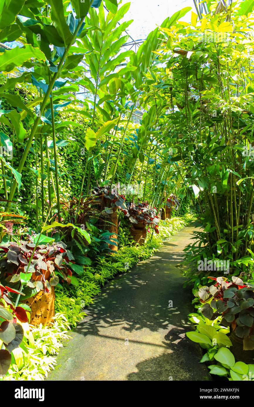 Nongnooch Tropical Botanical Garden is a very popular tourist ...