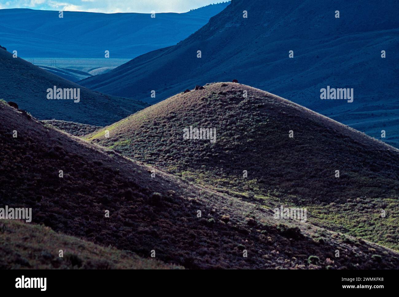 A cinder cone in Diamond Craters, a monogenetic volcanic field ...