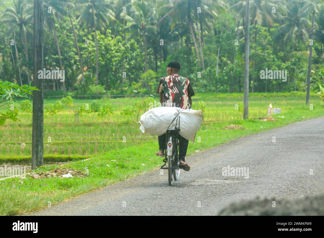 scene a man pedaling his bicycle and carrying a sack of grass to bring ...