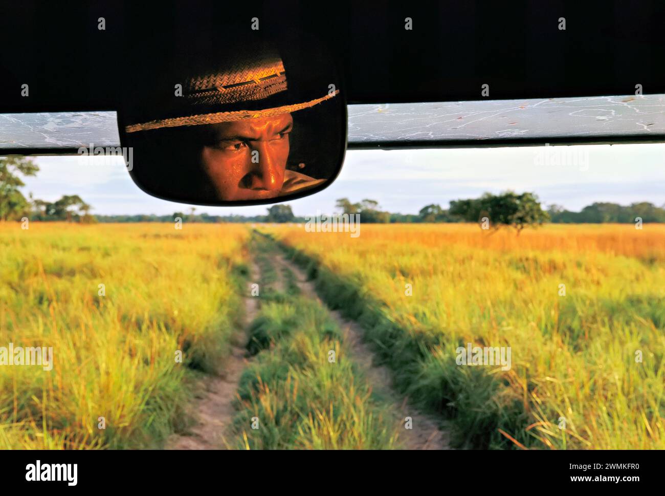 Wildlife spotter and guide in the rear-view mirror of his vehicle ...