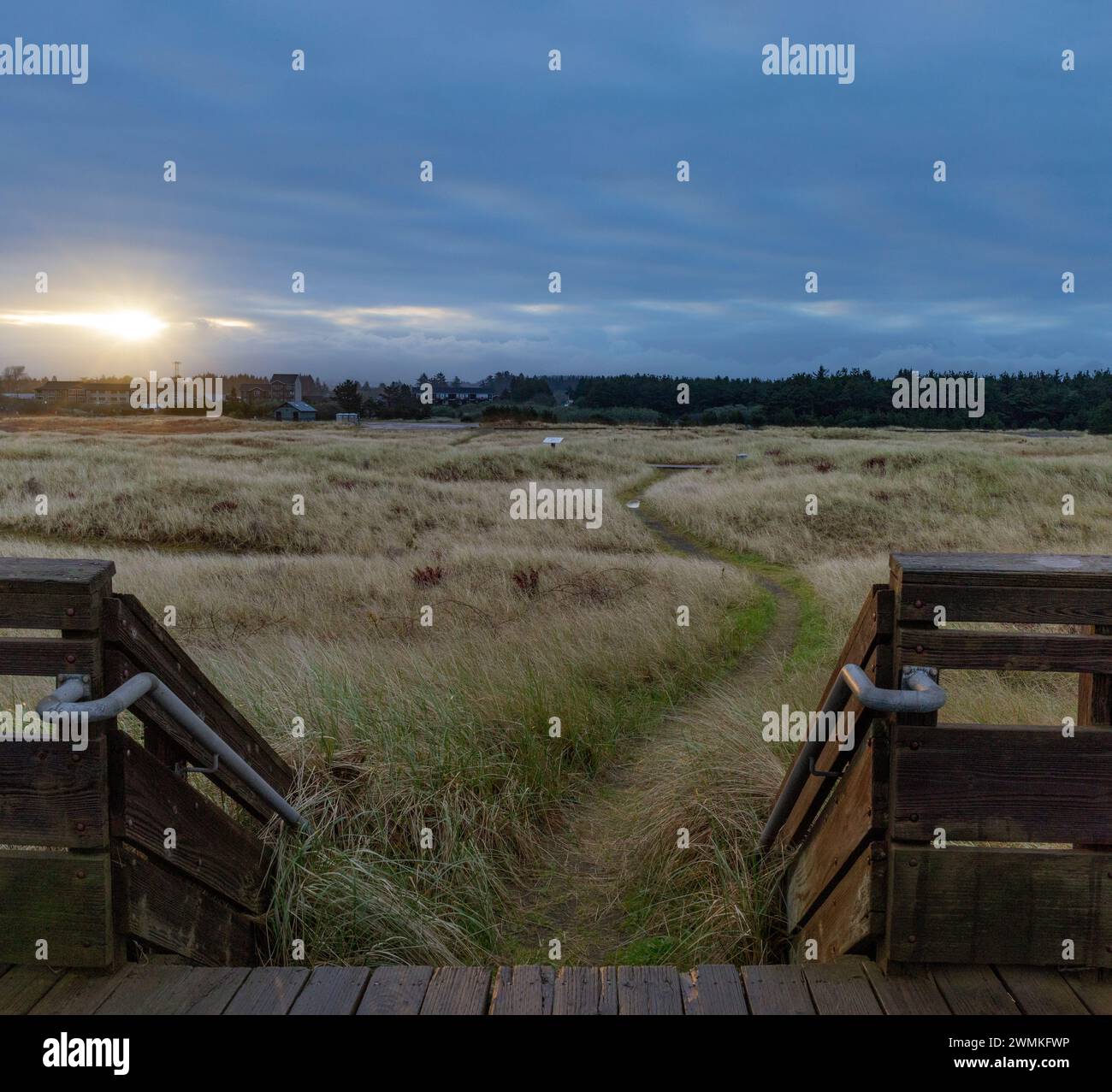 Steps with railing to pathway through a beach grass field along the ...