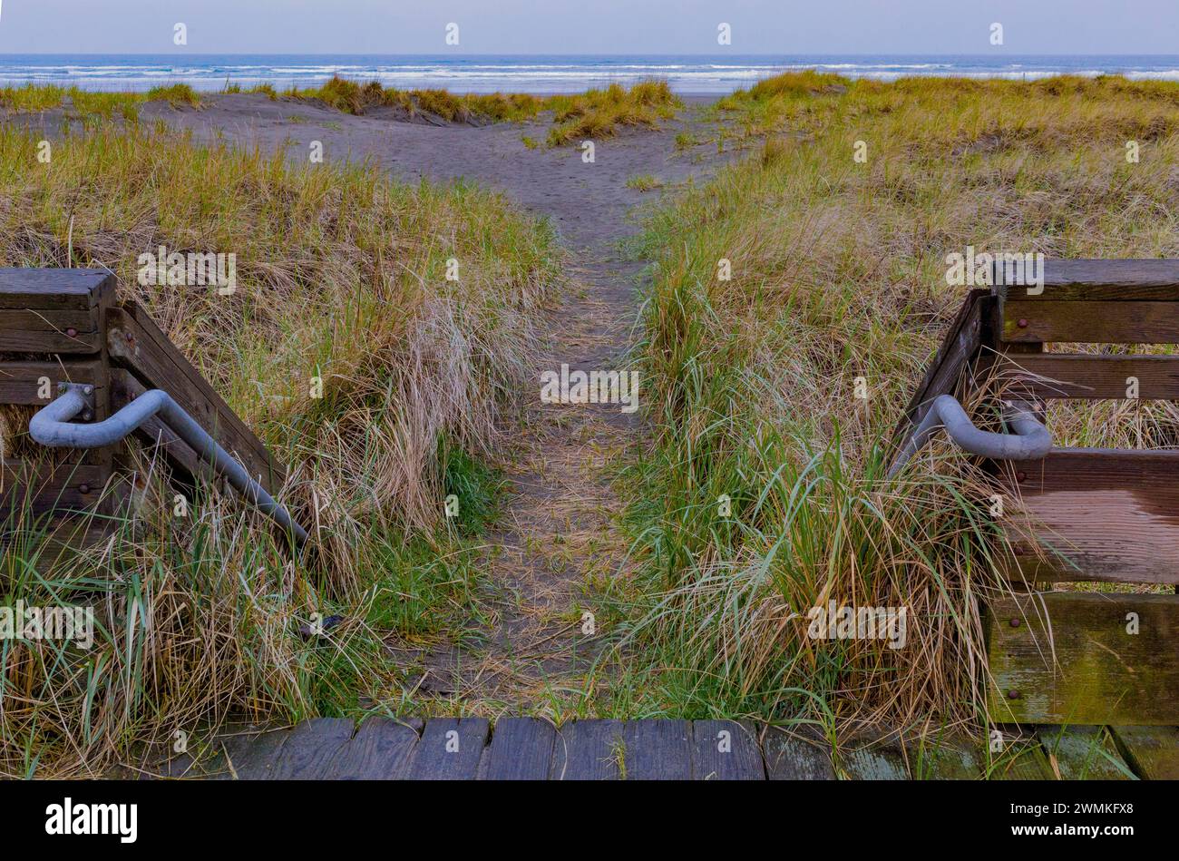 Steps and railing to pathway through the beach grass and sandy shore ...