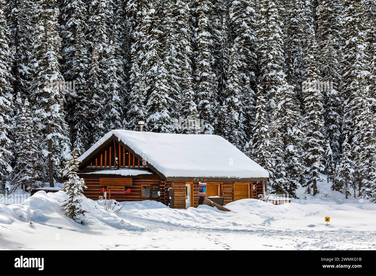 Snow covered log cabin against a background of snow covered evergreen ...