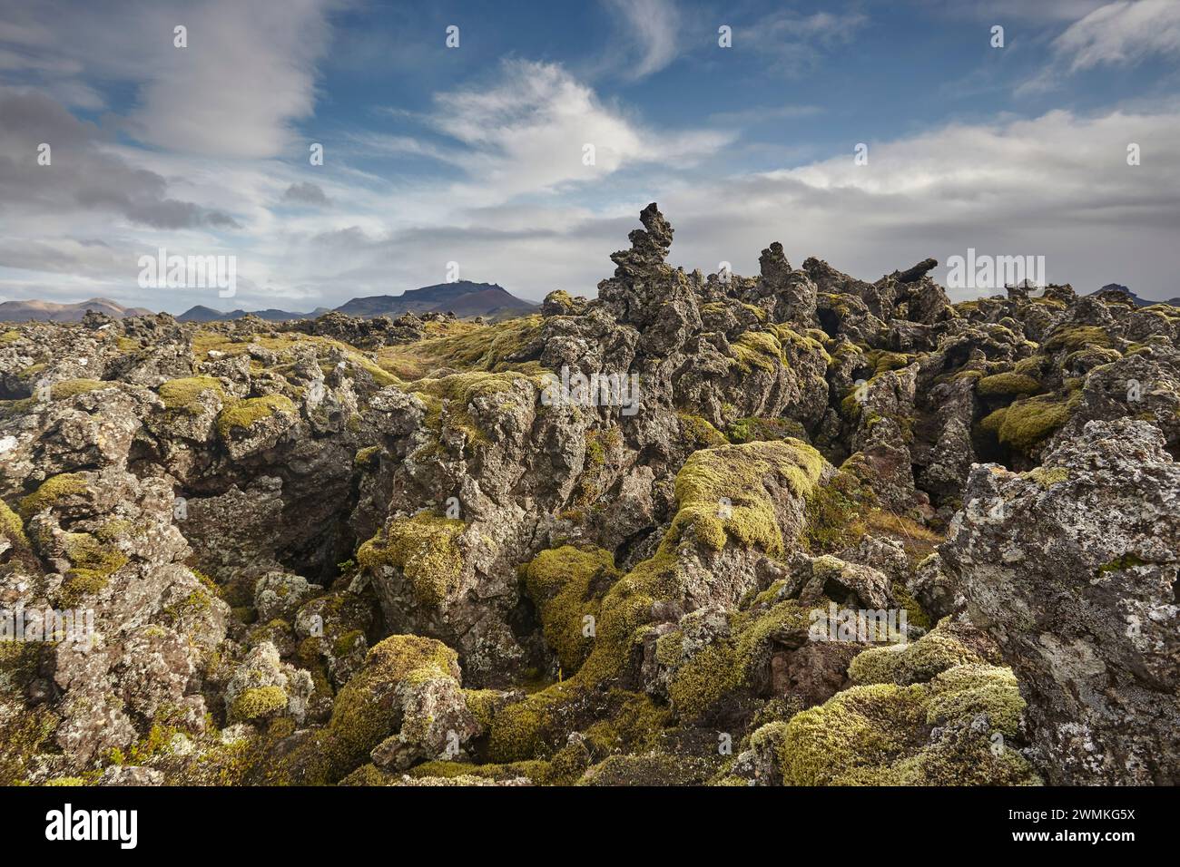 Berserkjahraun lava field, on the Snaefellsnes peninsula, western ...