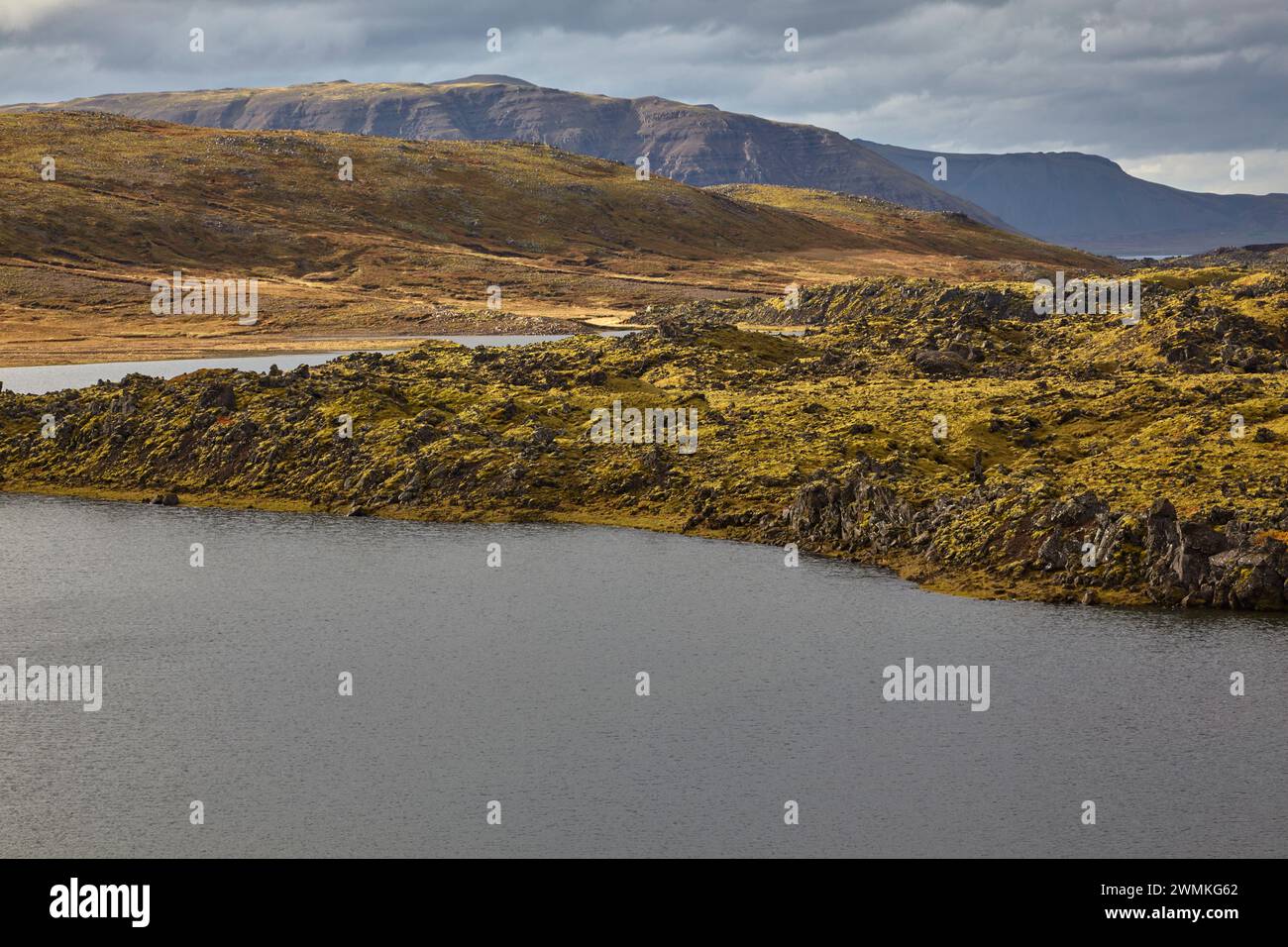 View of Berserkjahraun lava field, near Stykkisholmur, Snaefellsnes ...