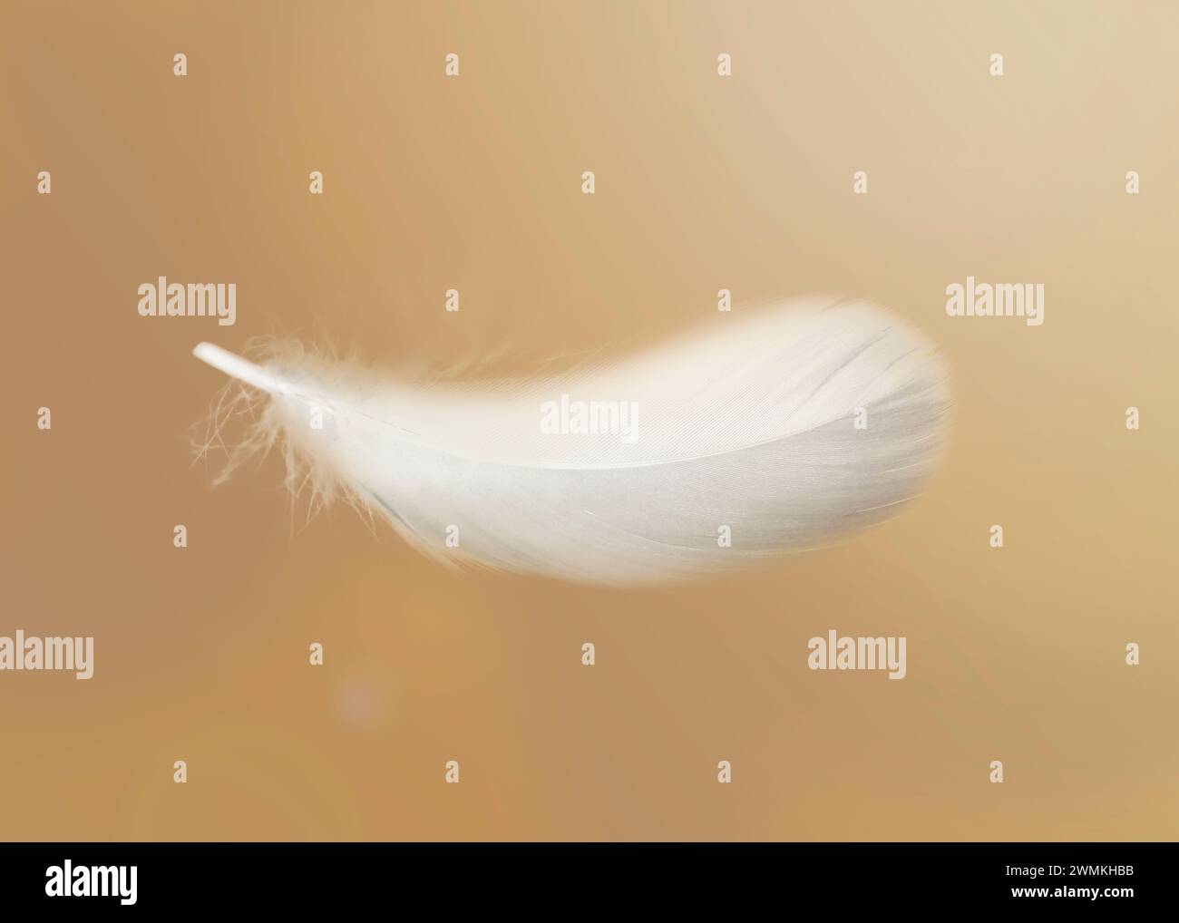 Fluffy bird feather falling on golden background Stock Photo - Alamy