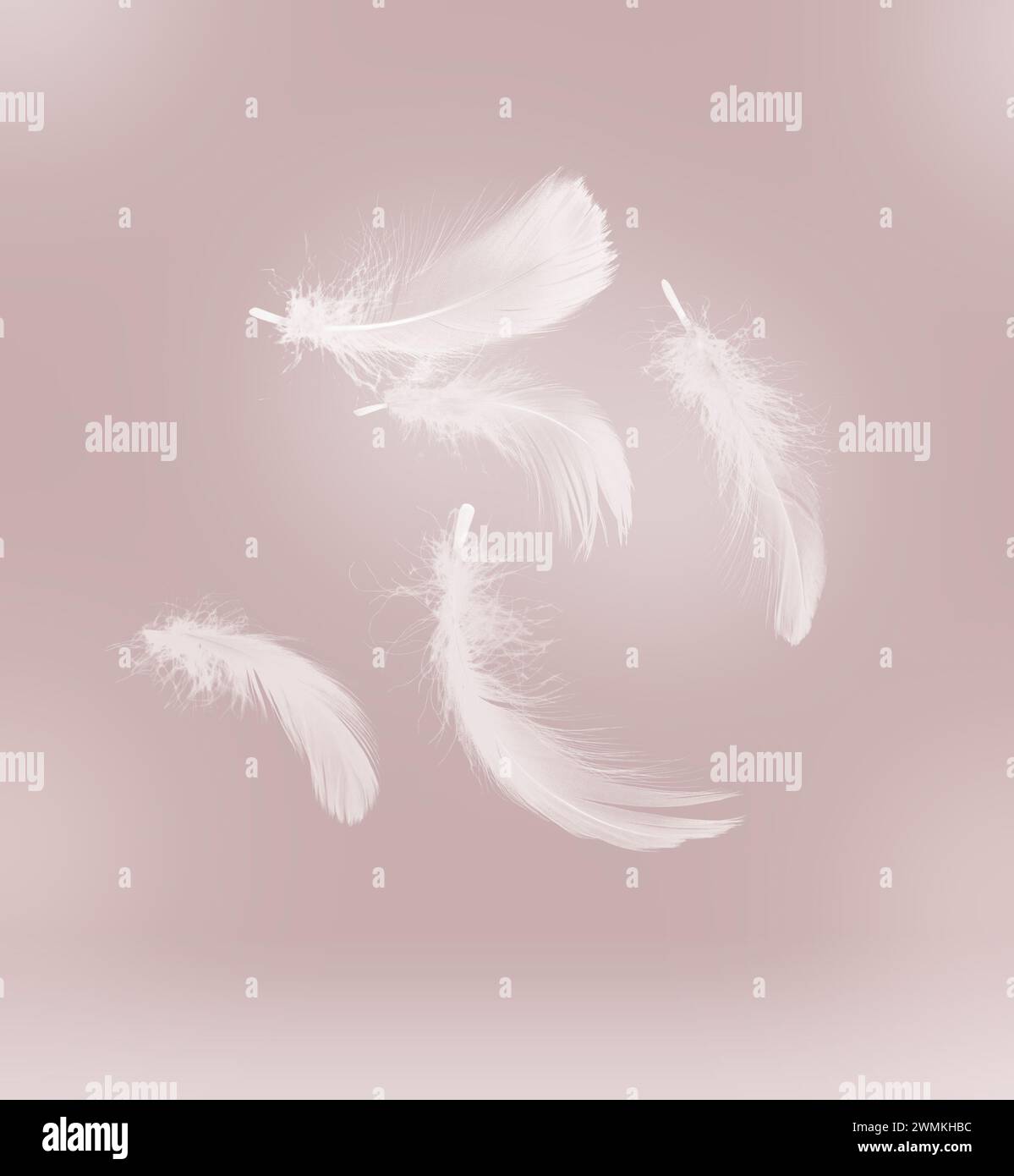 Fluffy bird feathers falling on pale brown background Stock Photo - Alamy
