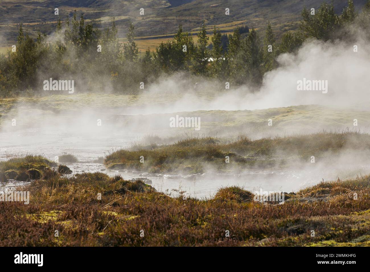 Steaming, boiling pools in Iceland; Geysir, Golden Circle, Iceland ...