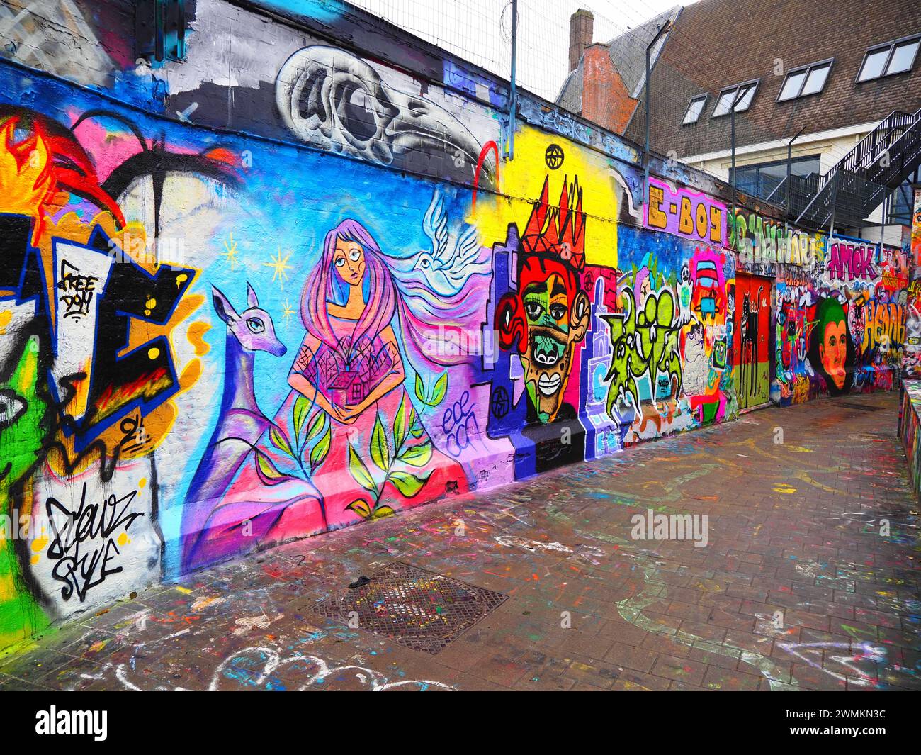 Middle highlights hi-res stock photography and images - Alamy