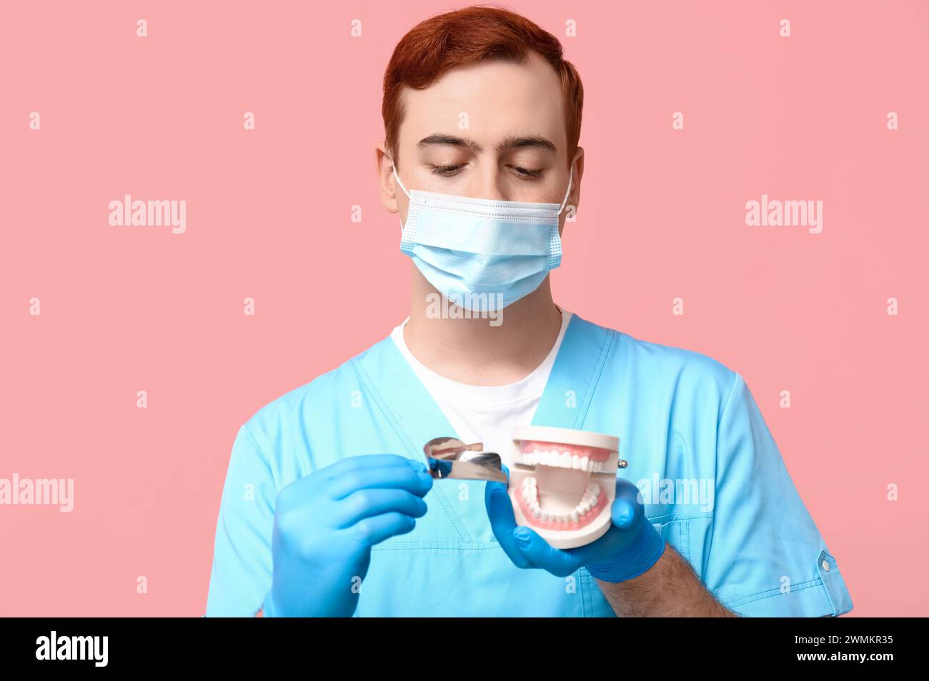 Male dentist in mask with dental impression tray and jaw model on pink ...
