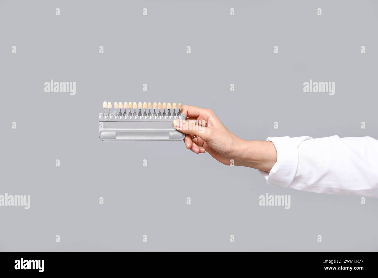 Female dentist with dental shade guide on grey background Stock Photo ...