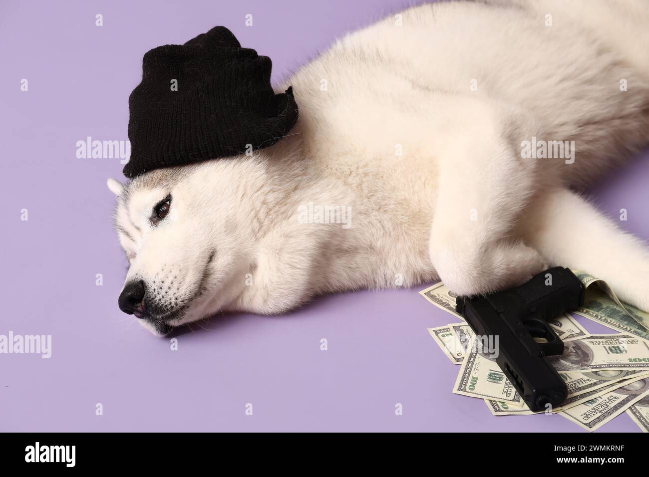 Bank robber balaclava hi-res stock photography and images - Alamy