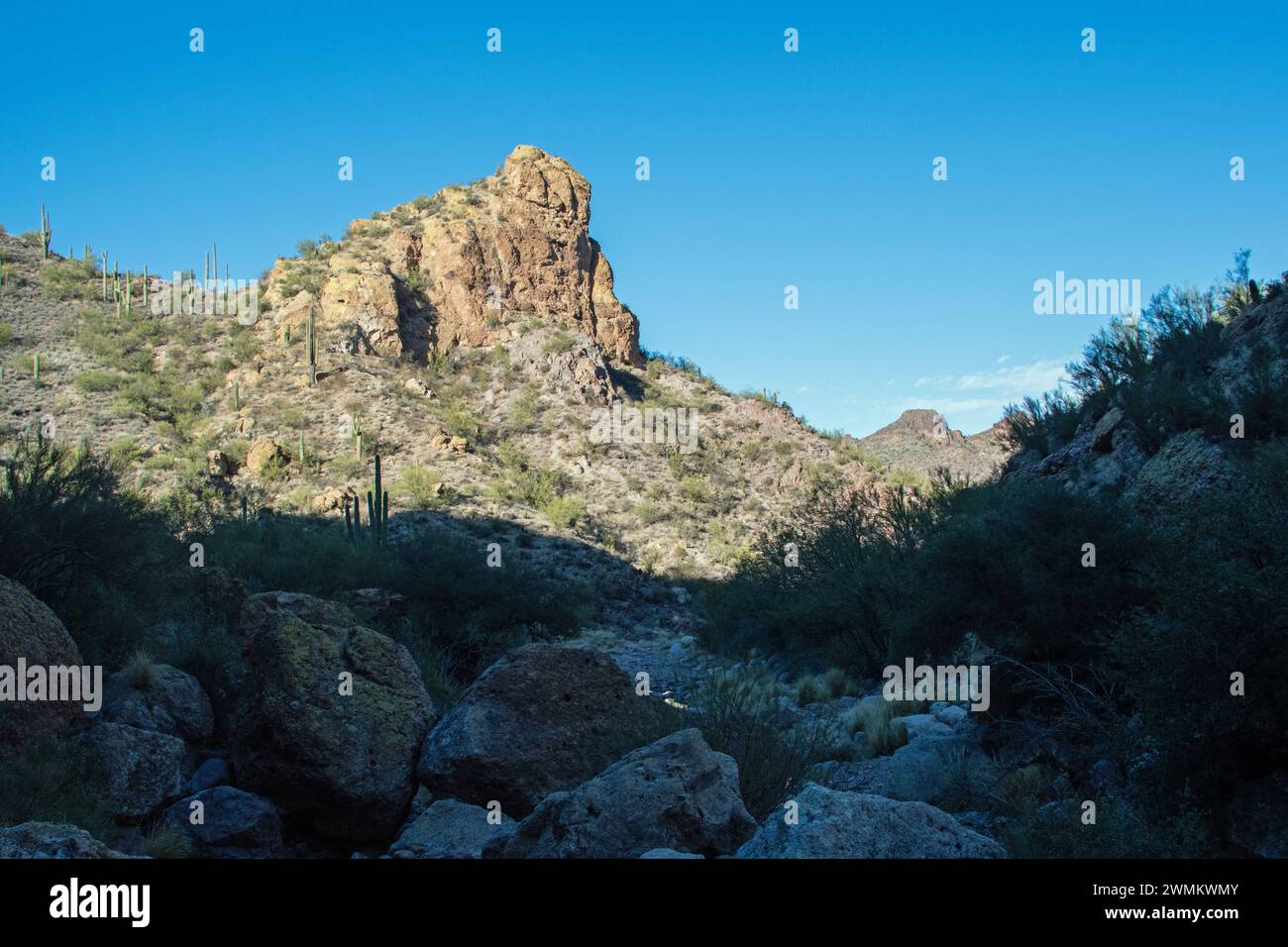 First water hi-res stock photography and images - Alamy