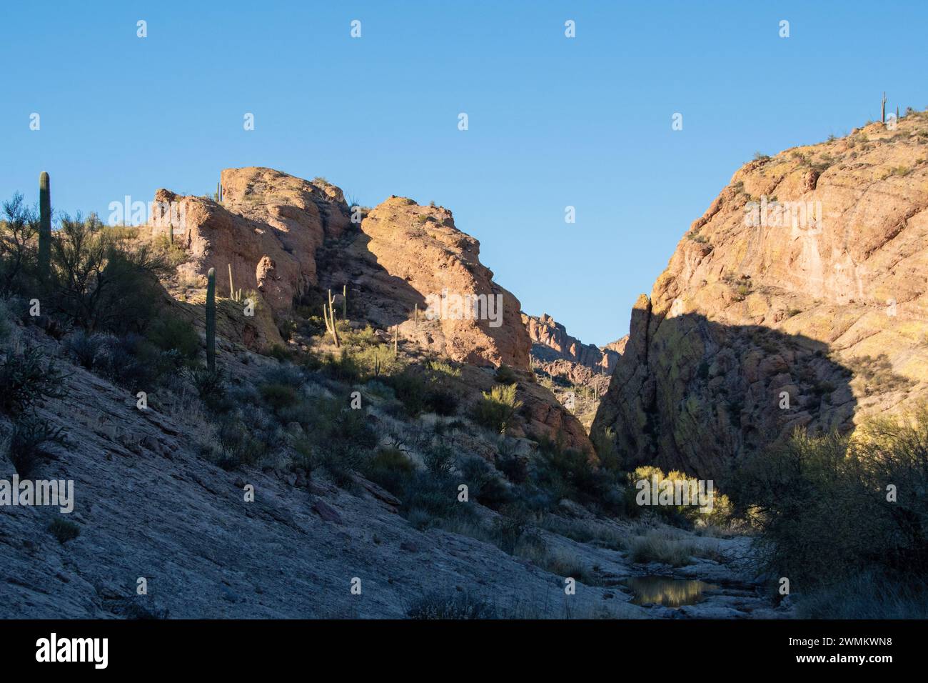 First water hi-res stock photography and images - Alamy