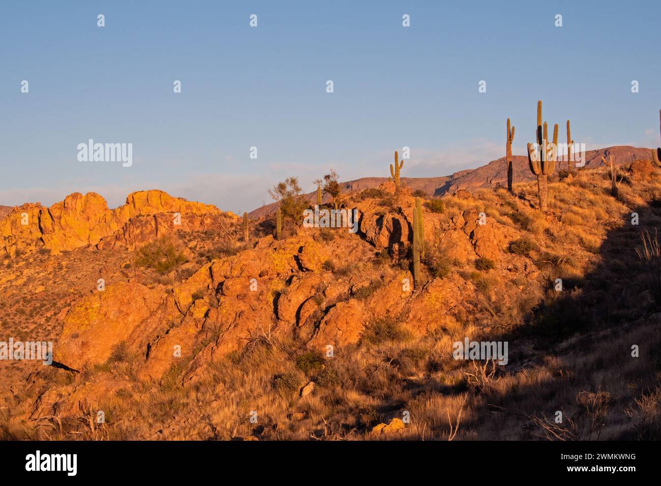 The first water hi-res stock photography and images - Alamy