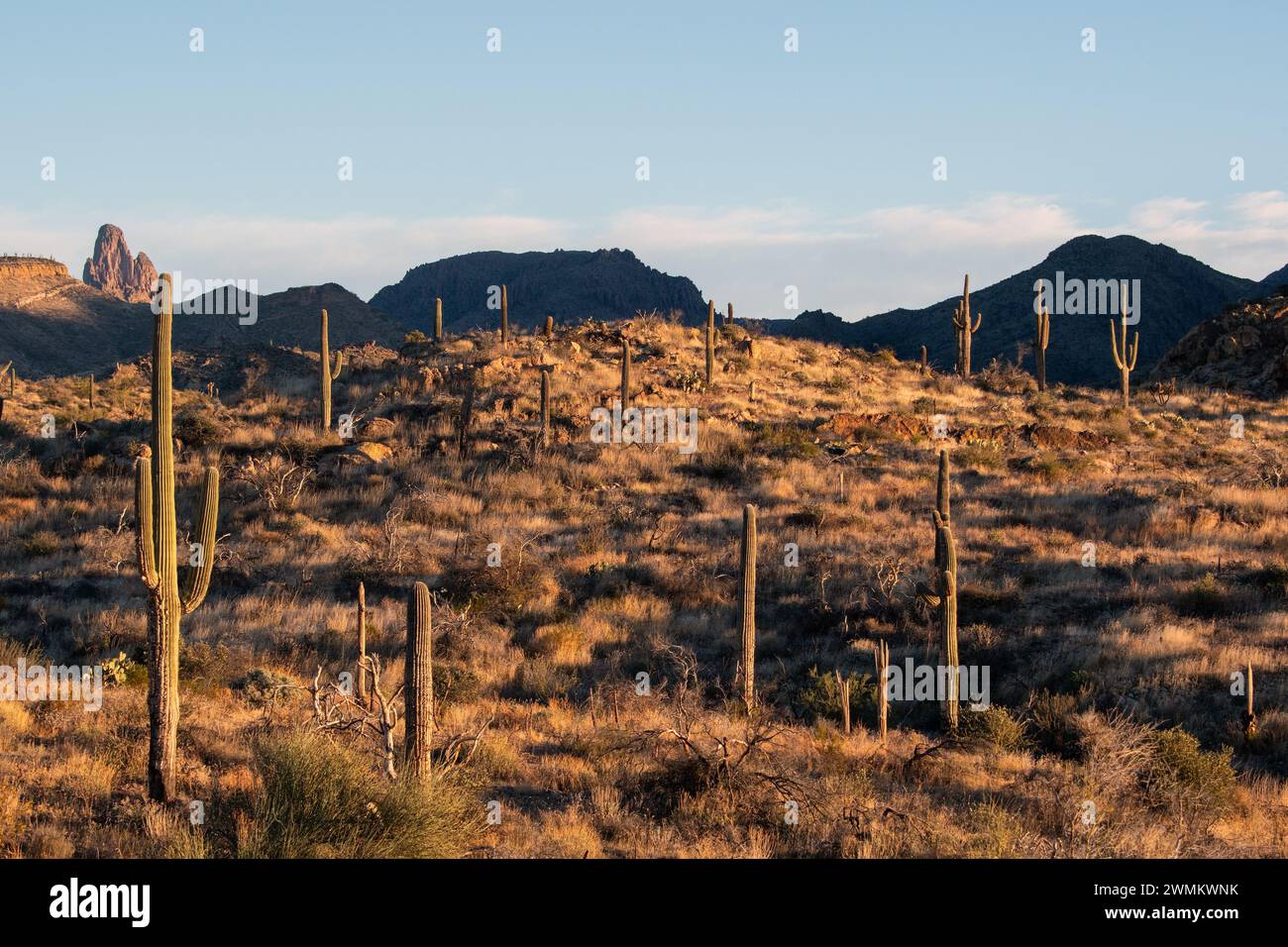 Superstition wilderness canyon hi-res stock photography and images - Alamy