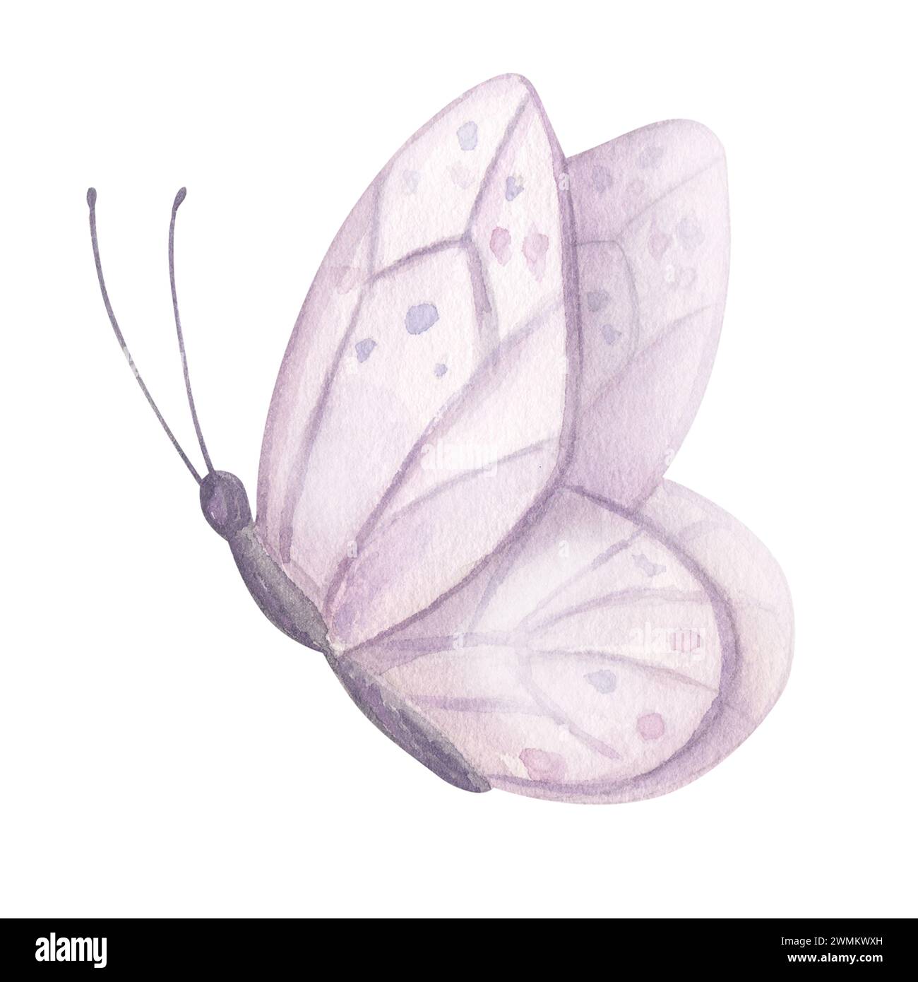 Purple Butterfly Wedding Clip Art
