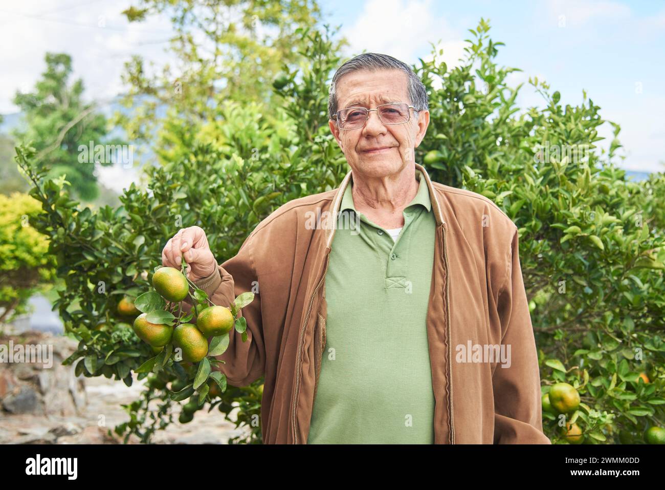 Senior man eating a mandarin orange hi-res stock photography and images ...