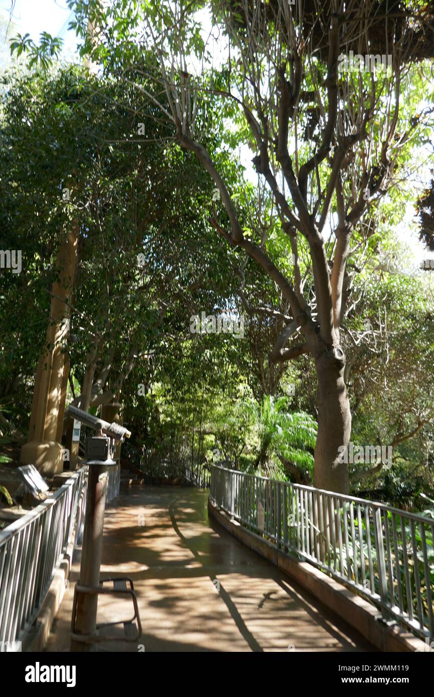 Los Angeles, California, USA 22nd February 2024 Aviary at LA Zoo on ...